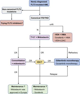 Frontiers | Developments and challenges of FLT3 inhibitors in acute myeloid leukemia